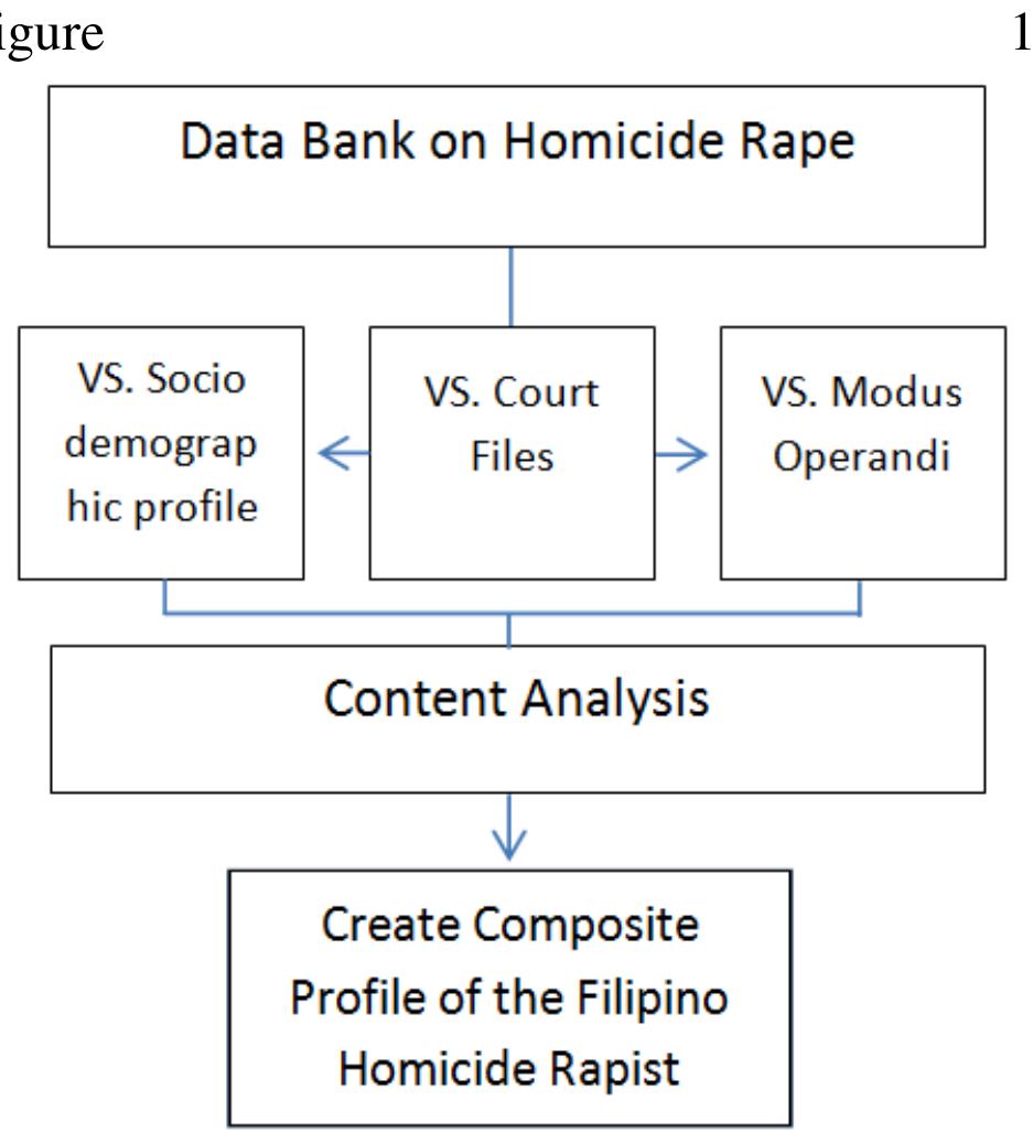 (PDF) Profiling the Filipino Homicide Rapist