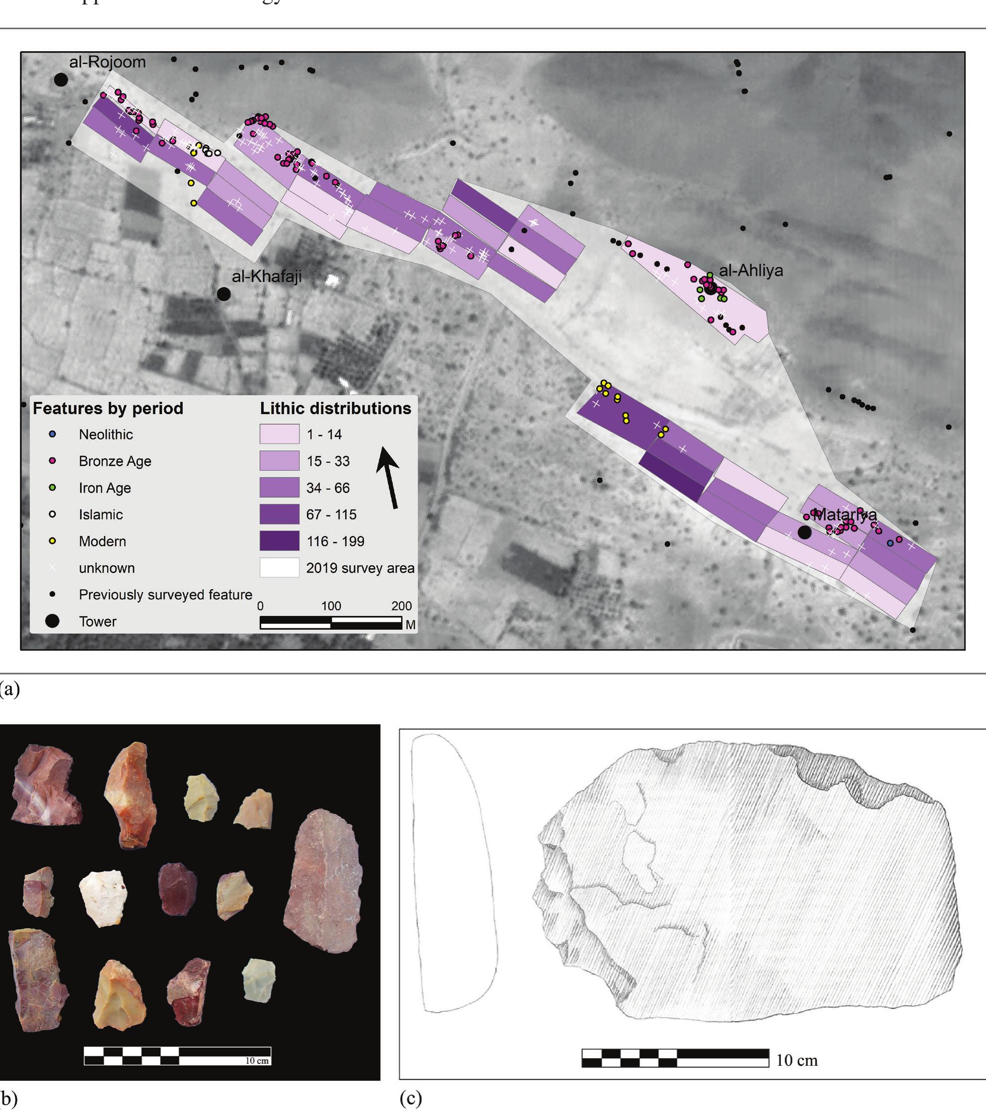 (a) map of lithic density in the survey area; (b) a