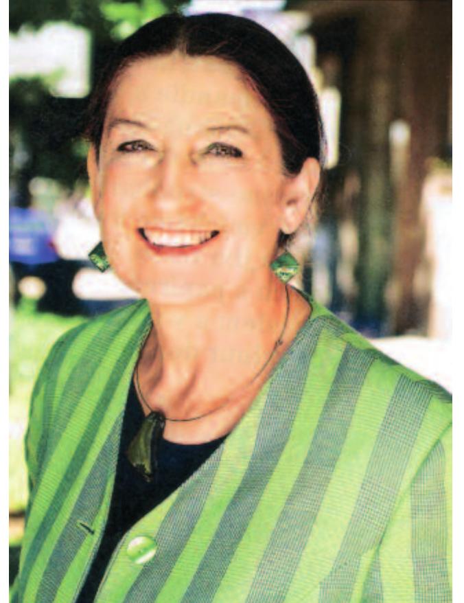 Figure 2 - The Hallstatt hoard of Roštín “Vlčák”, Kroměříž