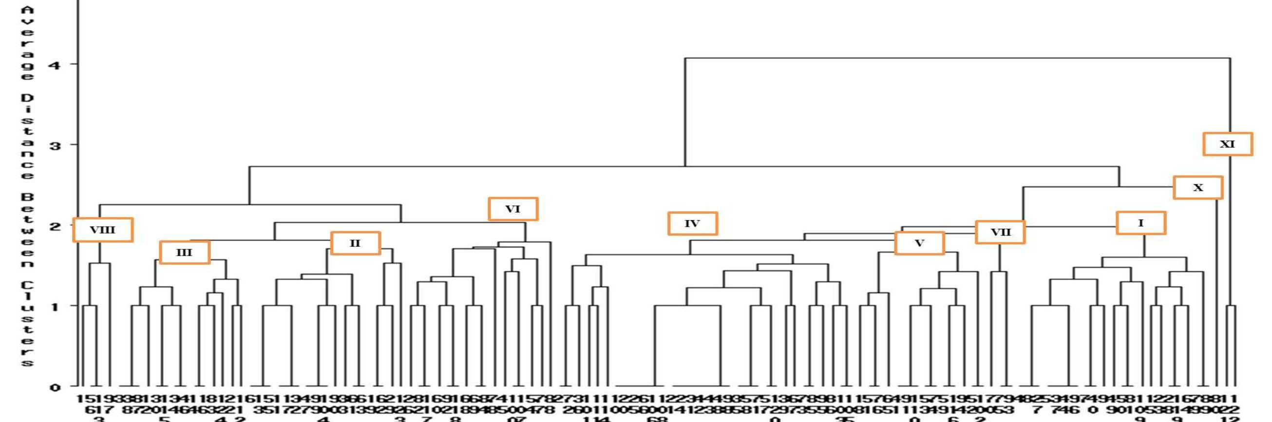 Dendrogram Showing Hierarchical Clustering Patterns Of 124 8697