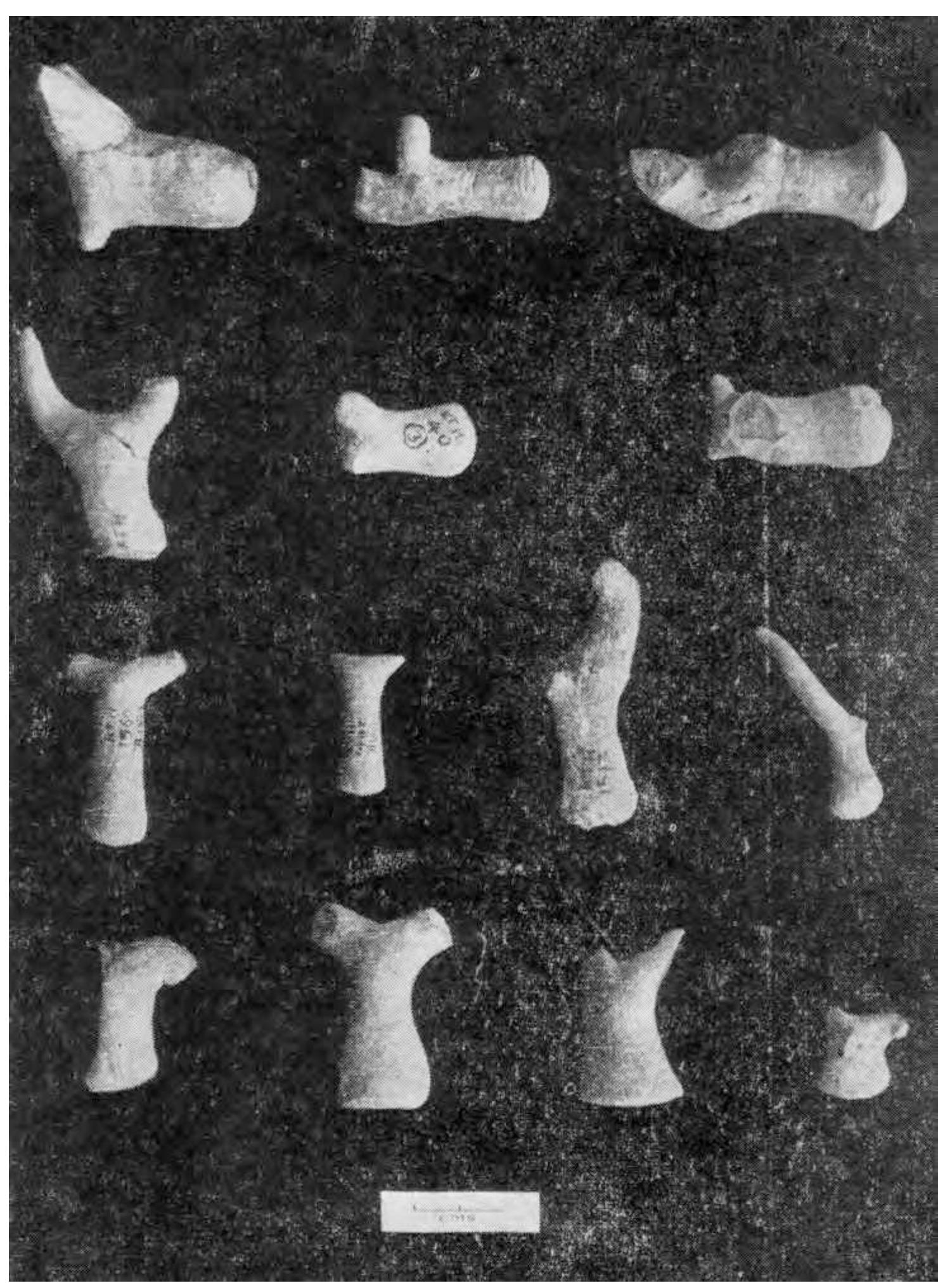 Figure 21 - The Gilund Terracottas: A New Look at the Ahar