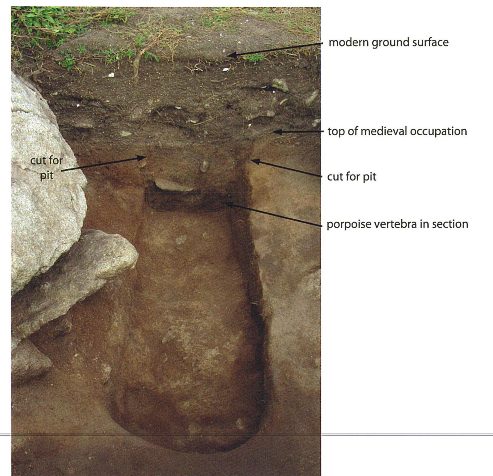 Pit 014 after the removal of the porpoise, viewed from the