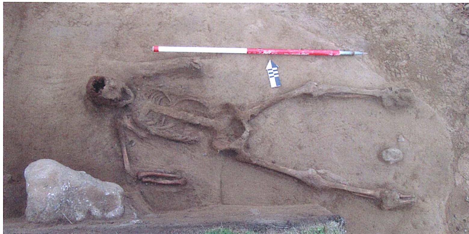The human skeleton in situ. note the large copper button