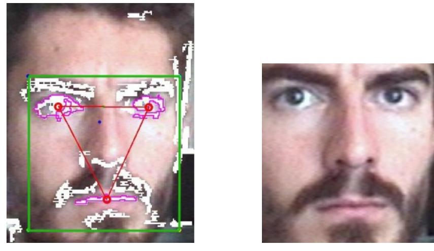 Facial feature extractions (left) and face image (right) for