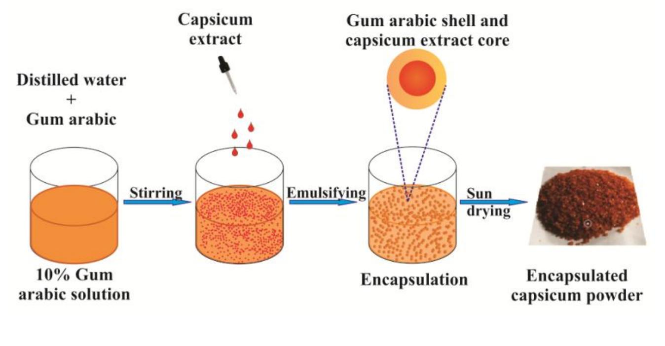 Since the capsicum colour extract is an oily and insoluble