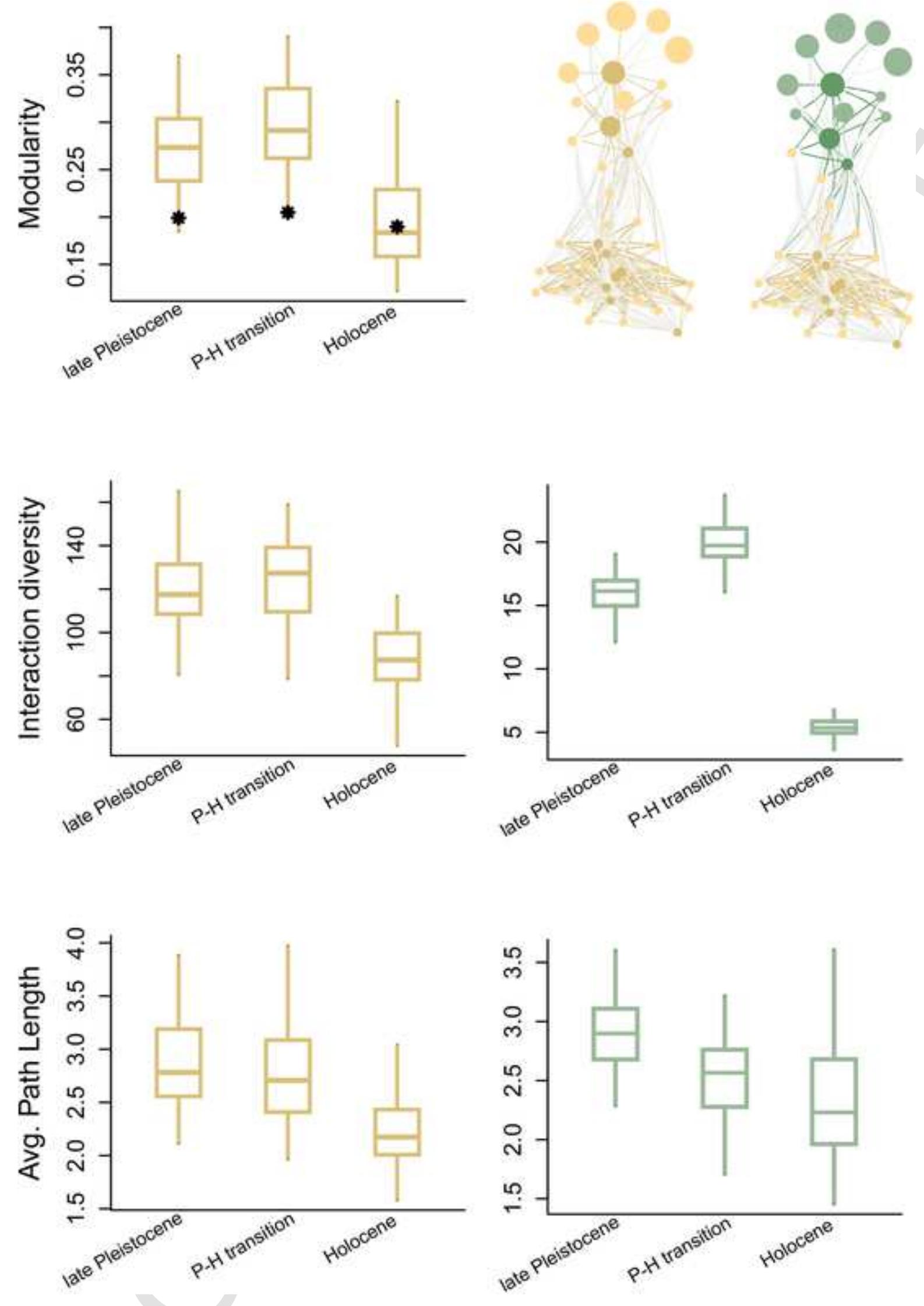 Structure of trophic networks representing of south