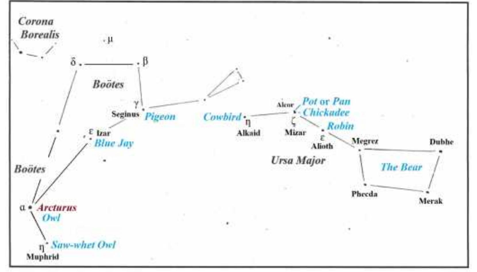 The stars in ursa major (big dipper) and bootes as the bear