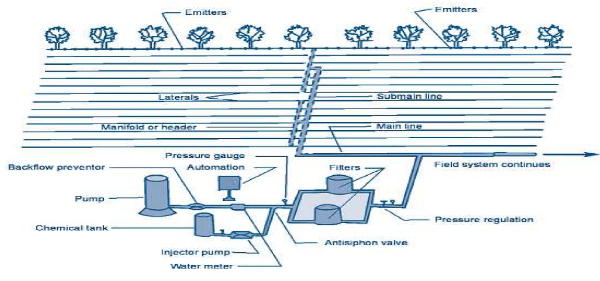Plate 2.4: basic components of a localized irrigation