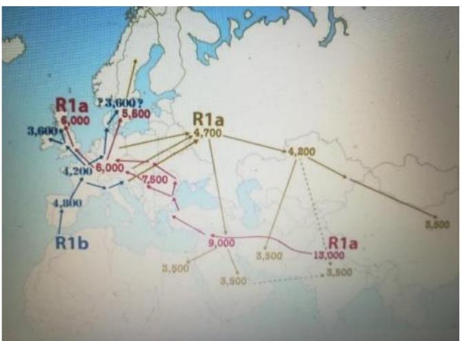 Map of the spread of haplogroup rla according to anton