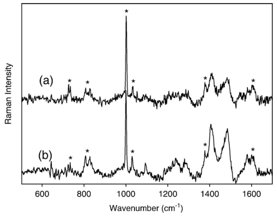 Baseline corrected raman spectra of (a) the brown cotton