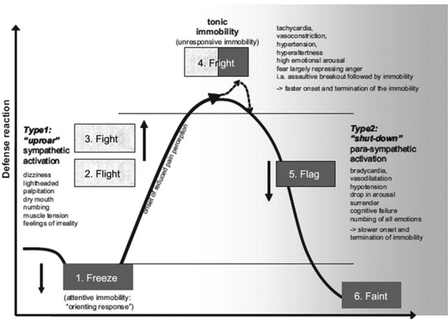 The ‘6 fs’ cascade. used with permission from zeitschrift