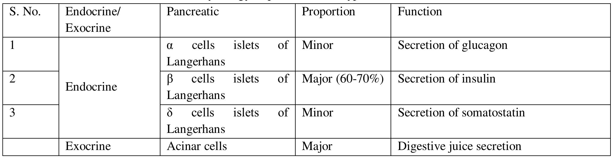 Physiology of pancreatic cell types and their function