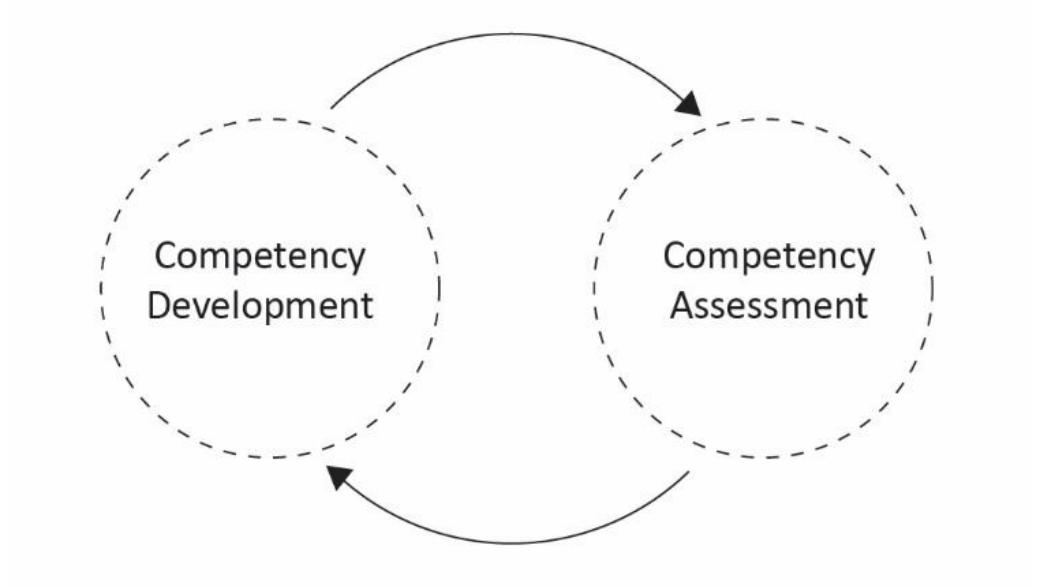 (PDF) Competency Definitions, Development and Assessment: A Brief Review