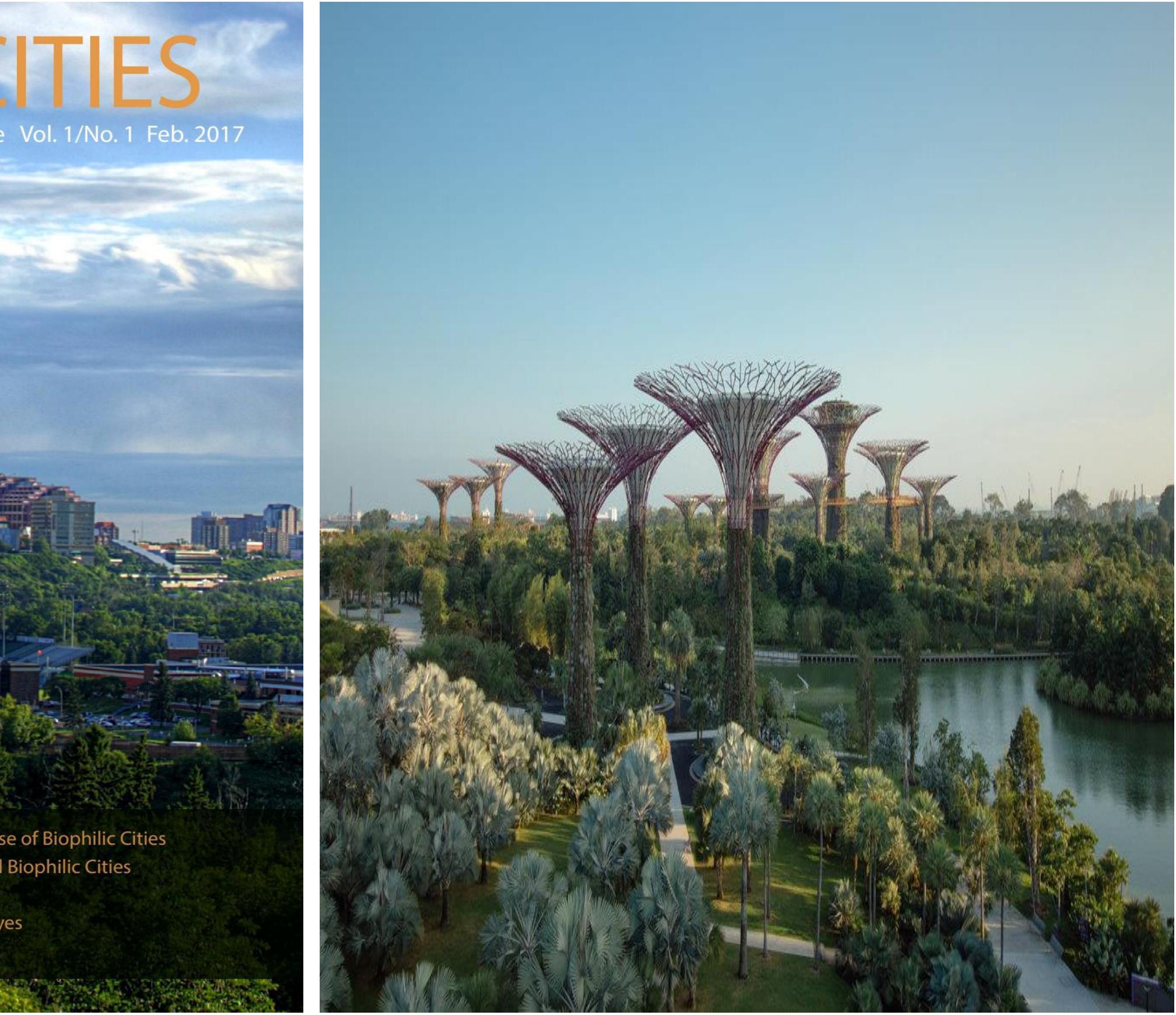 Figure 1 - THE CONCEPT OF BIOPHILIC CITY AND BIOPHILIC