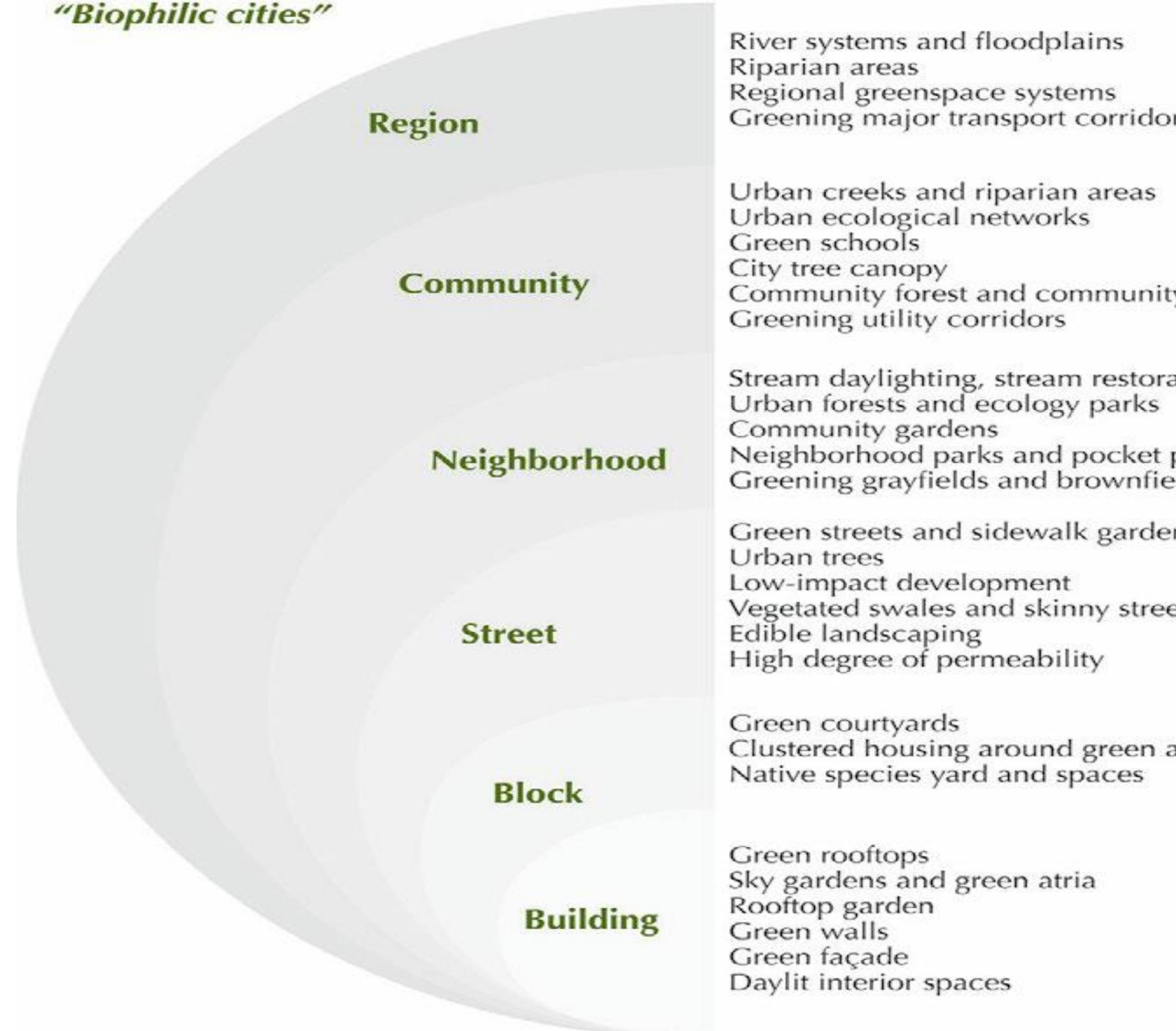 Figure 2 - THE CONCEPT OF BIOPHILIC CITY AND BIOPHILIC