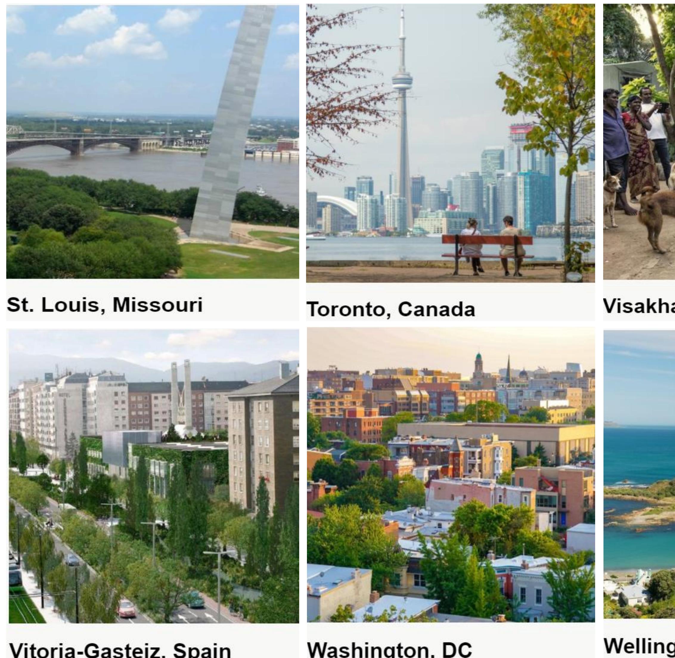 Figure 6 - THE CONCEPT OF BIOPHILIC CITY AND BIOPHILIC