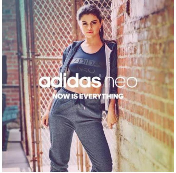 Branding and Customer Satisfaction: A Research about the Adidas Group