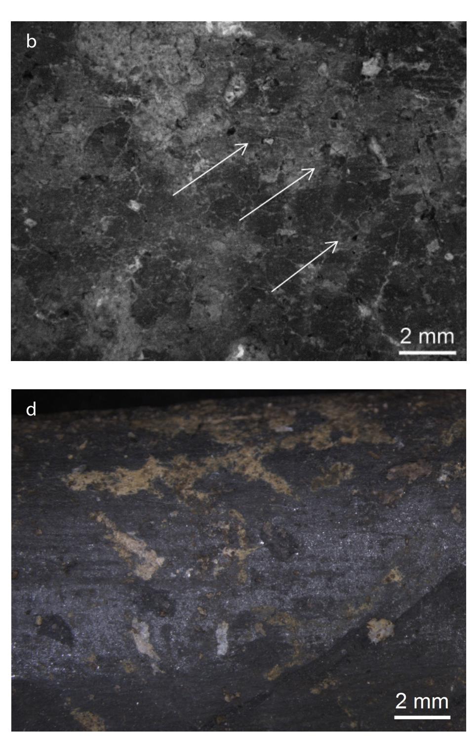 Use-wear traces on archaeological samples from heuneburg