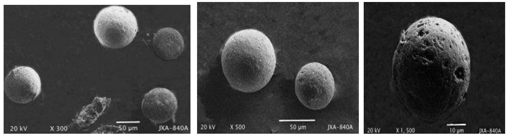 Sem photographs of microsponge formulations at different