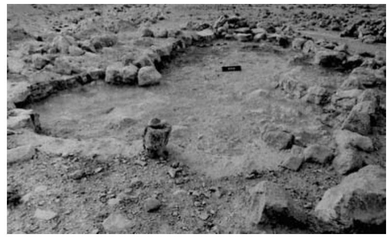 101. site 25, view of locus 202 fig. 2.102. site 25, plan of