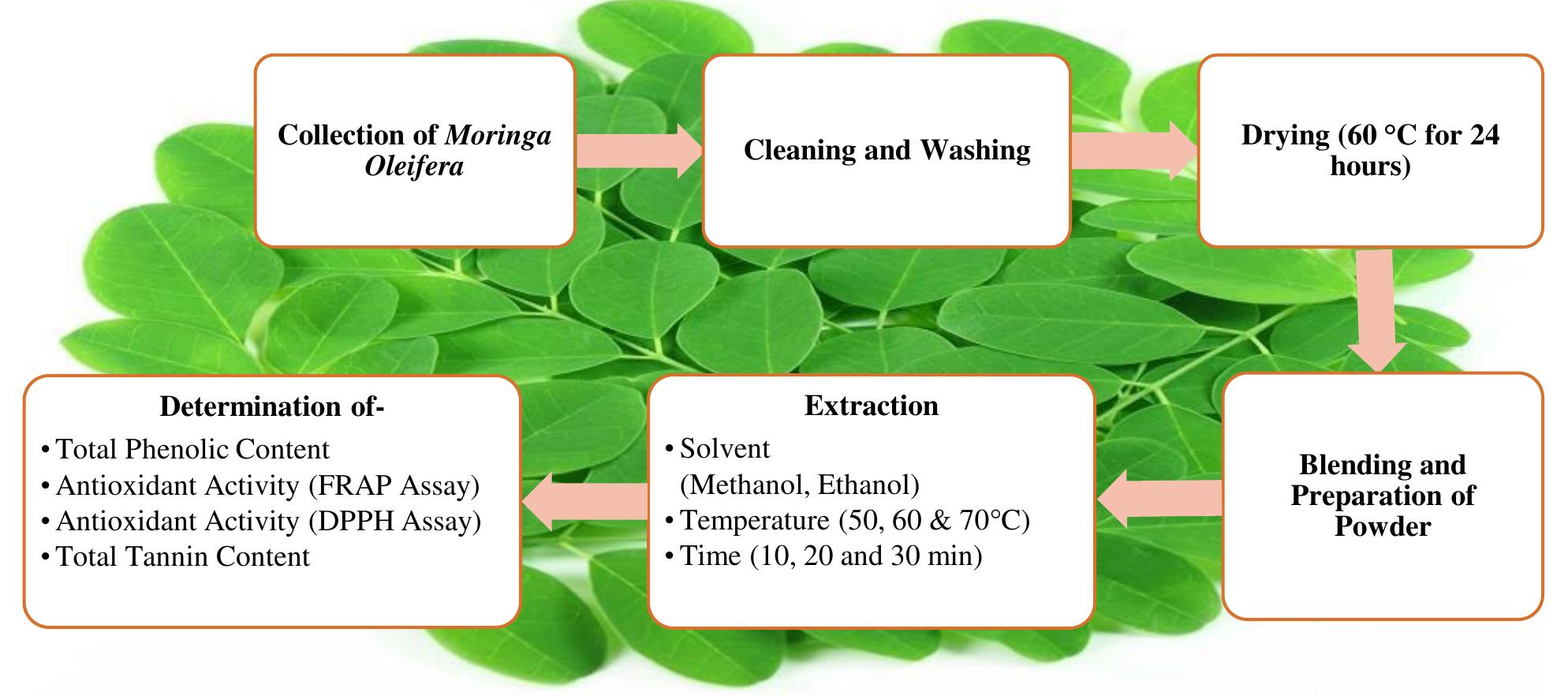 Schematic diagram of research design all the chemicals used