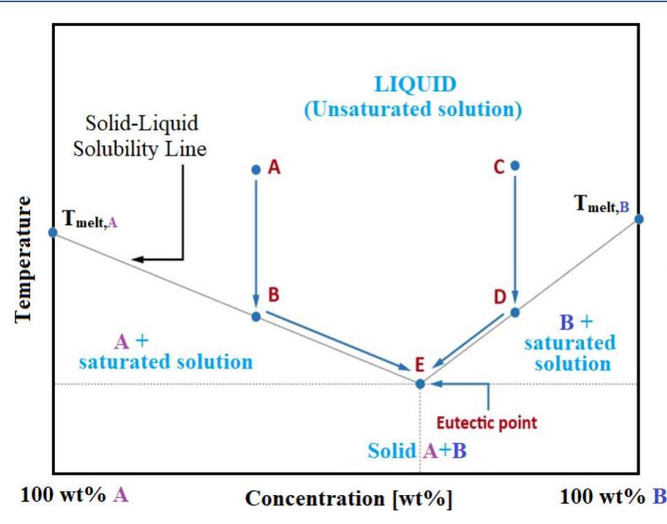 Prototypical binary phase diagram for eutectic mixtures.