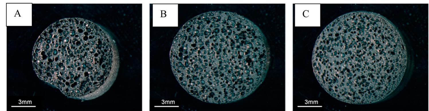 Light microscopy of cross-section of foamed epdms. the