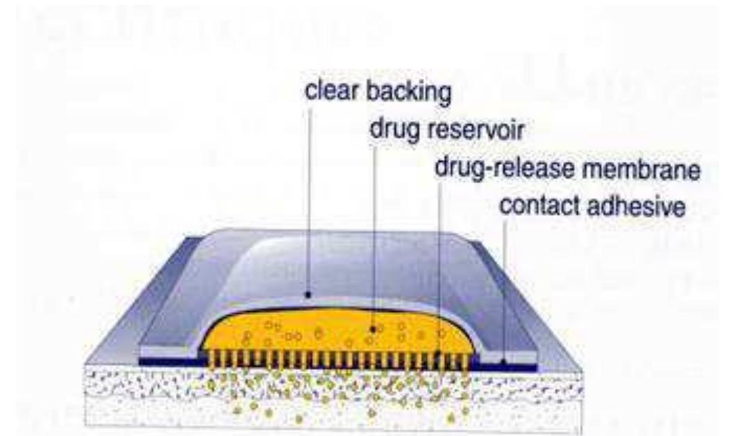 Different layers of transdermal patches