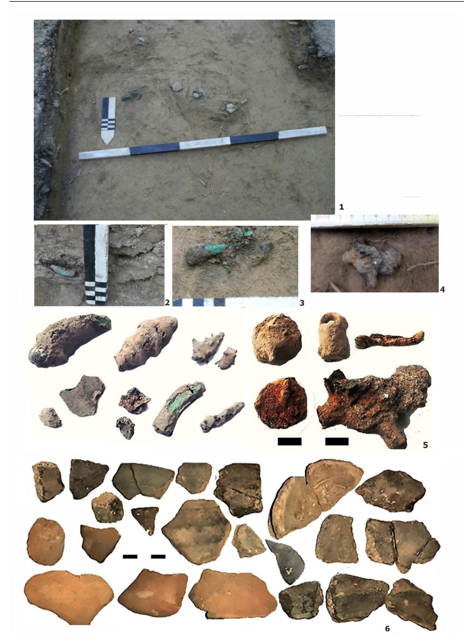 Valeriu sirbu, lucica savu, diana davinca fig. 19. complex