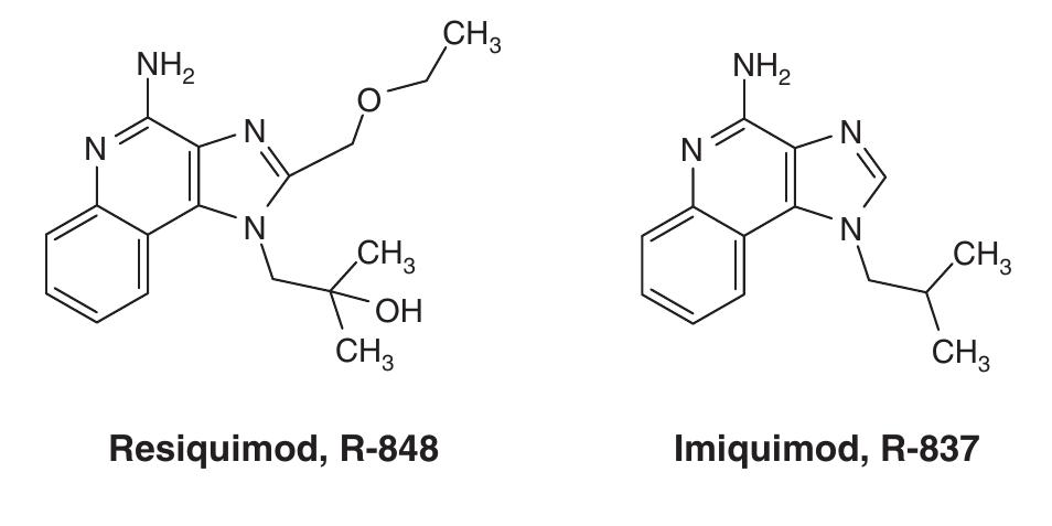 Structural formulas of resiquimod and imiquimod.