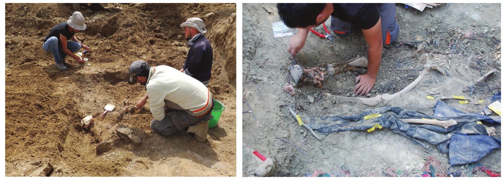 A-b. from left to right: a forensic exhumation in sandy