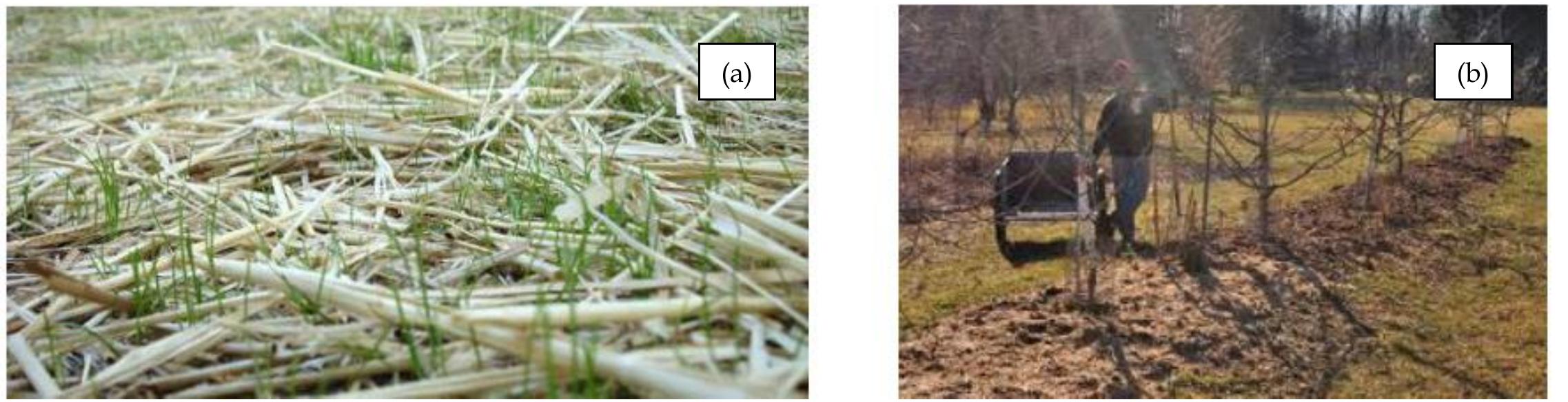 Different types of mulches used in soil erosion control [4].