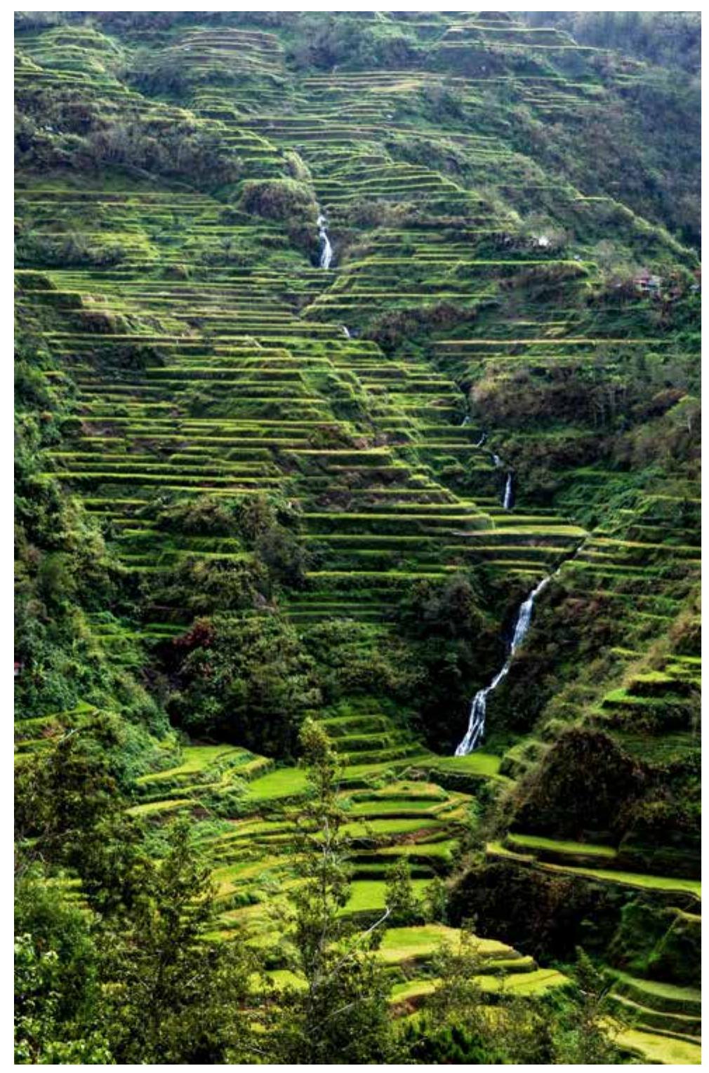 Rice terraces of the philippine cordilleras: a landscape
