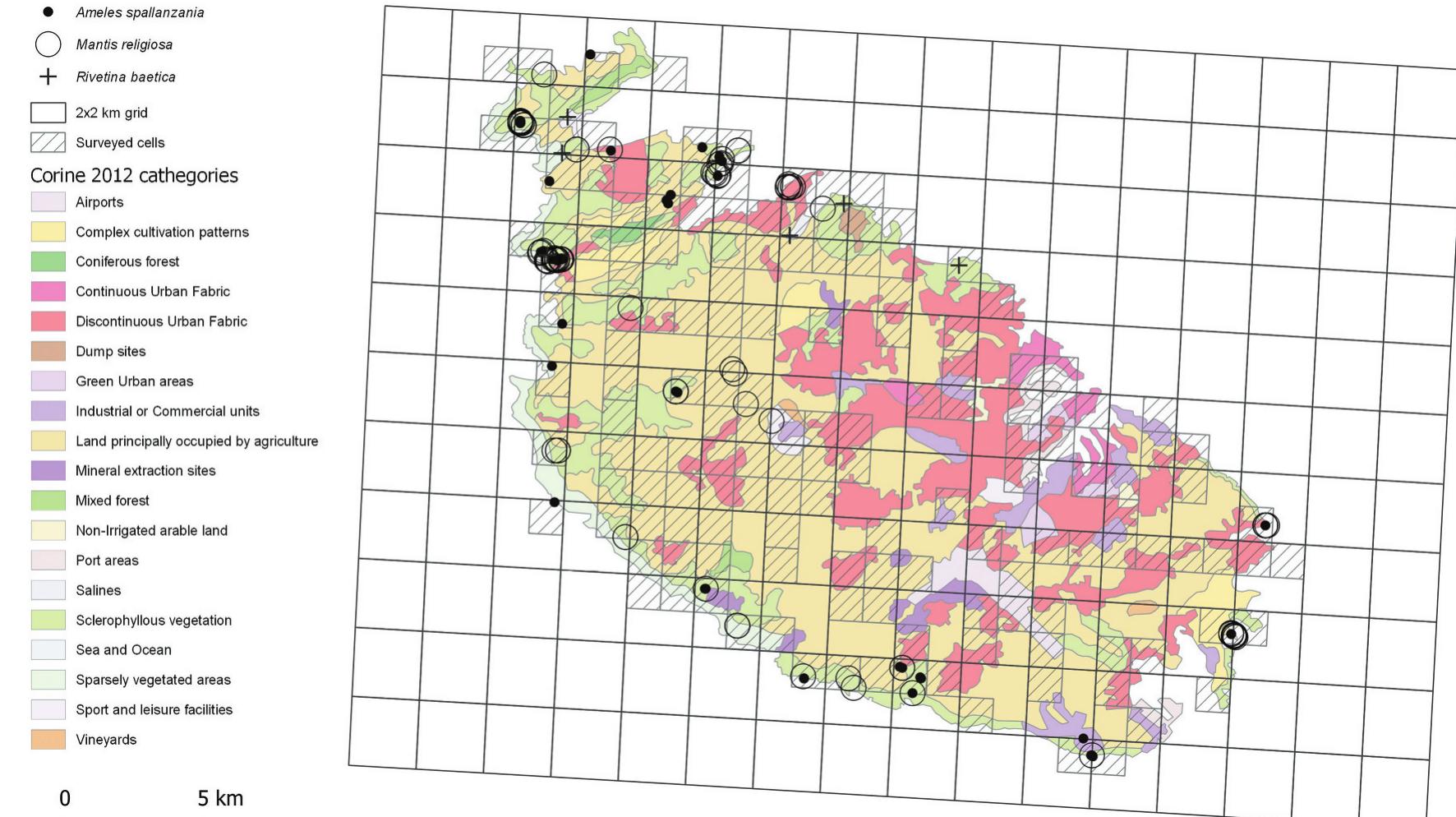 Figure 2 - from Battiston,R.,Di Pietro,W.,Armerini ,R.&