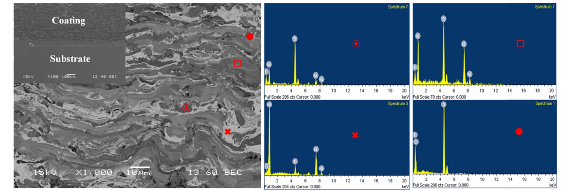 Sem morphology of cross-section (inset is the low