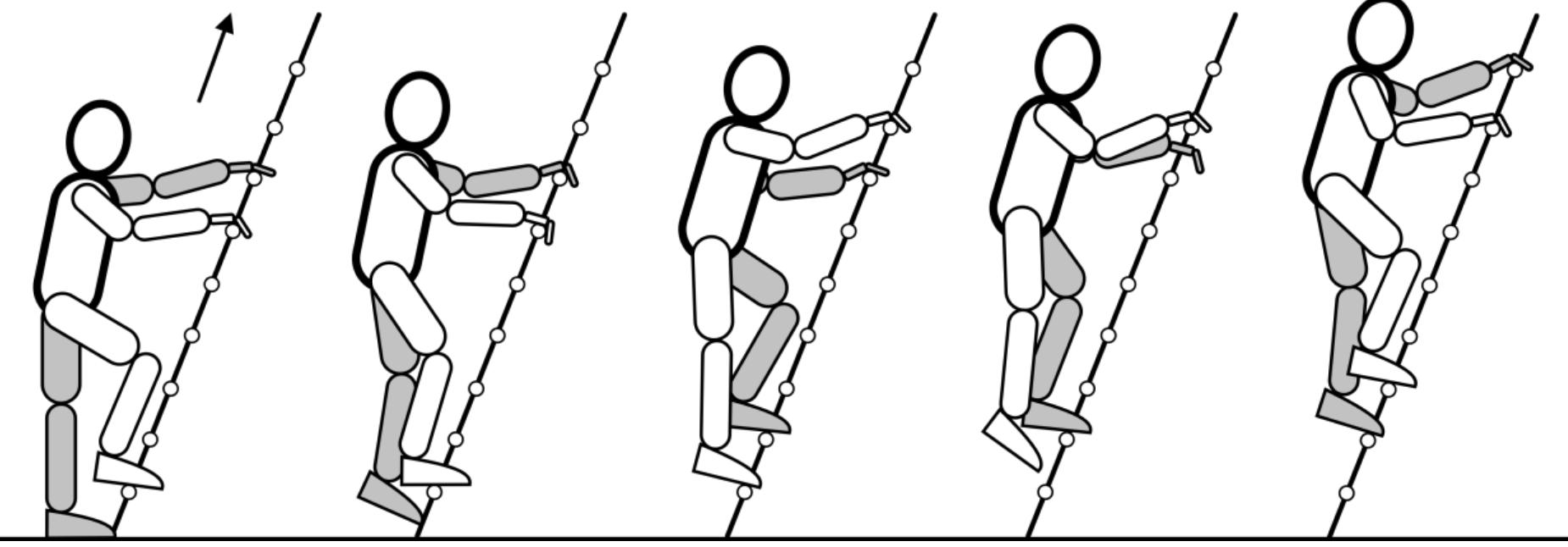 Figure 1 - from Single Rigid Ladder Safety Revision Affected