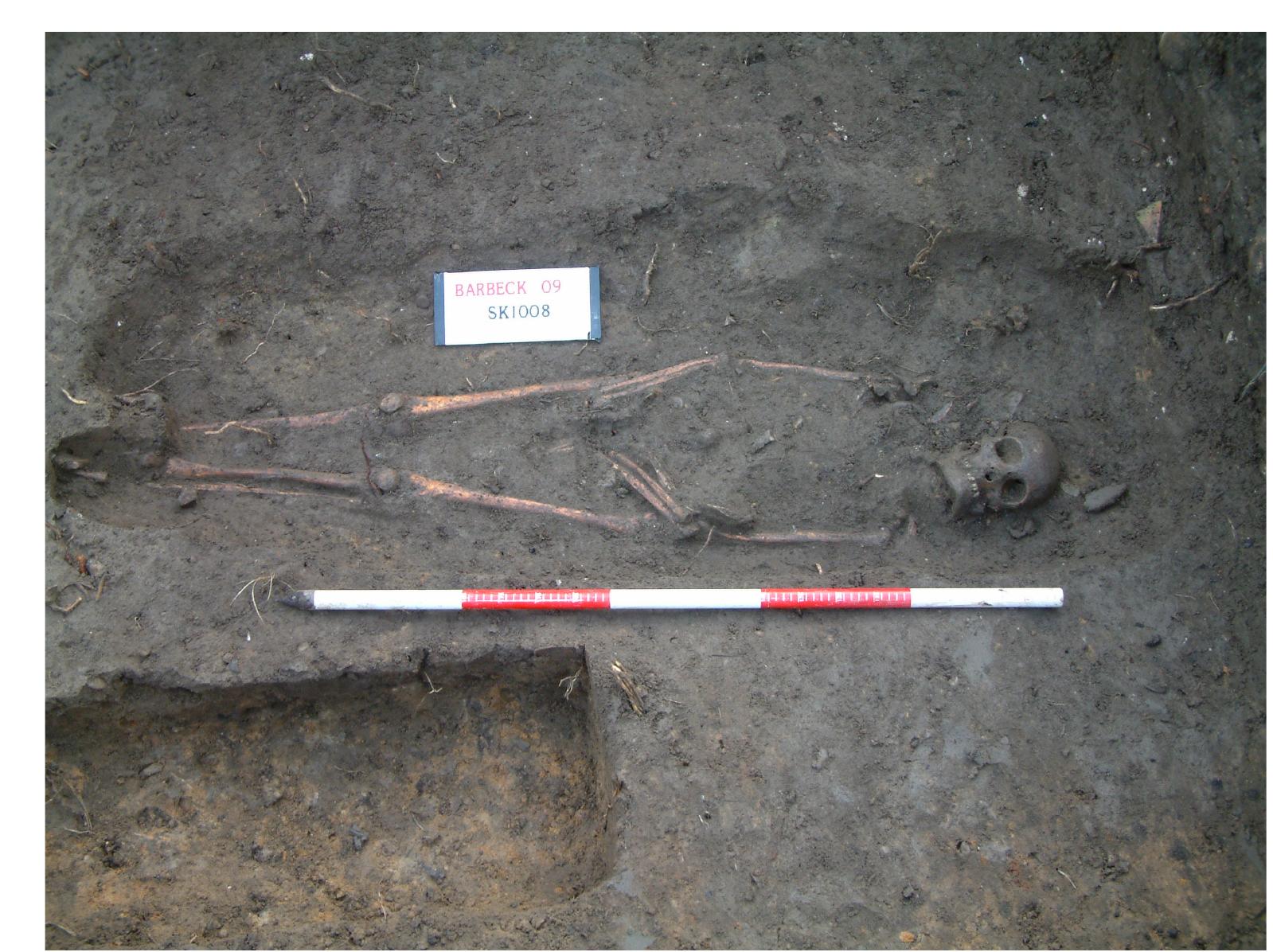 Plate 2. skeleton in grave 6 in trench 2, 2009 evaluation