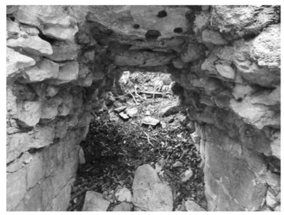Vaulted passageway through structure 4, chichil (phote by