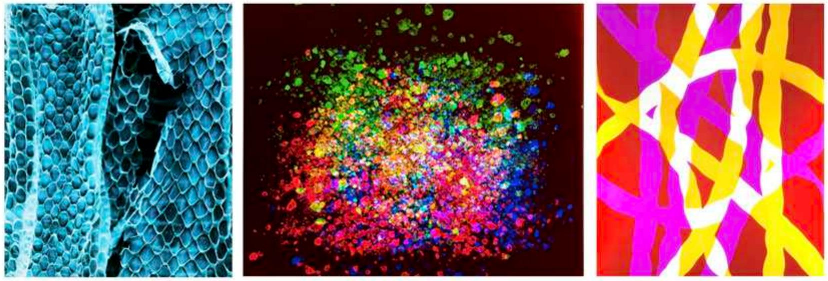 Rebecca najdowski, photographs from the series desert