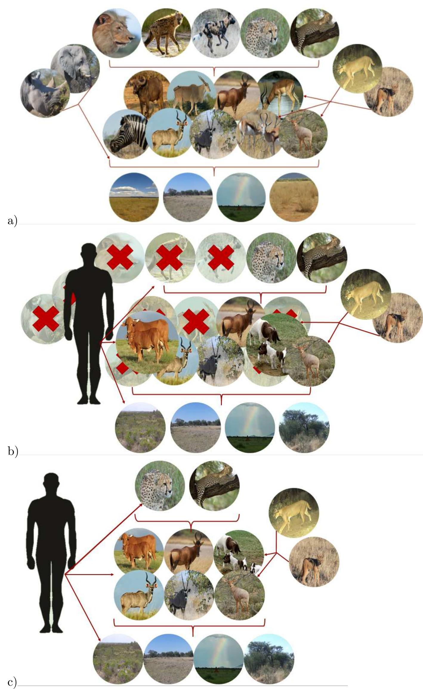 3: historical ecosystem change on namibian farms.