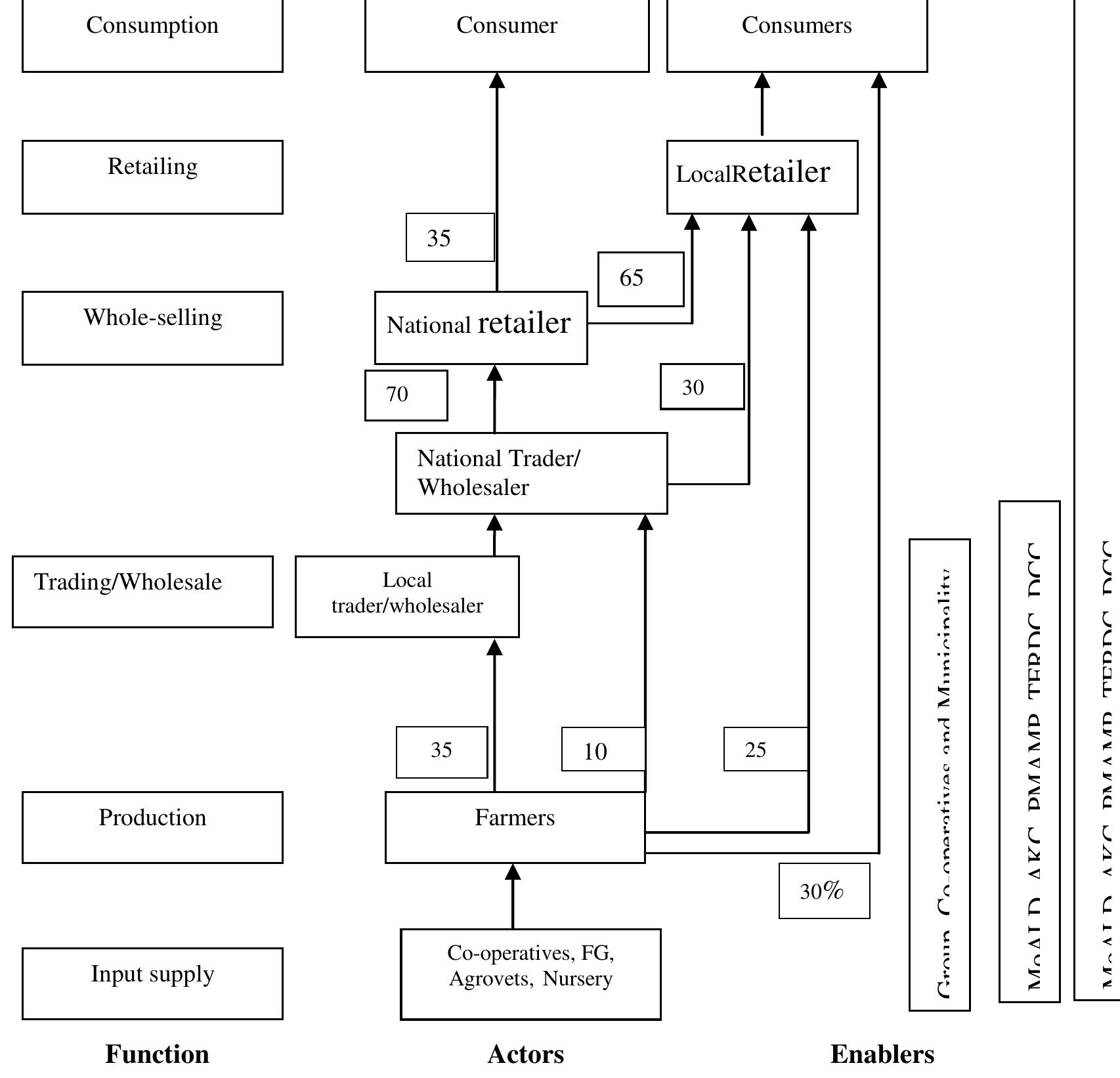 Value chain map of kiwi fruit