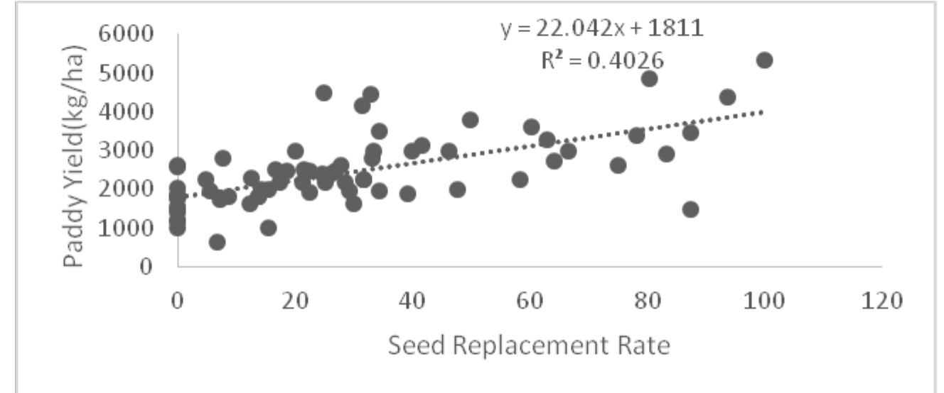 Linear relationship between seed replacement rate and yield