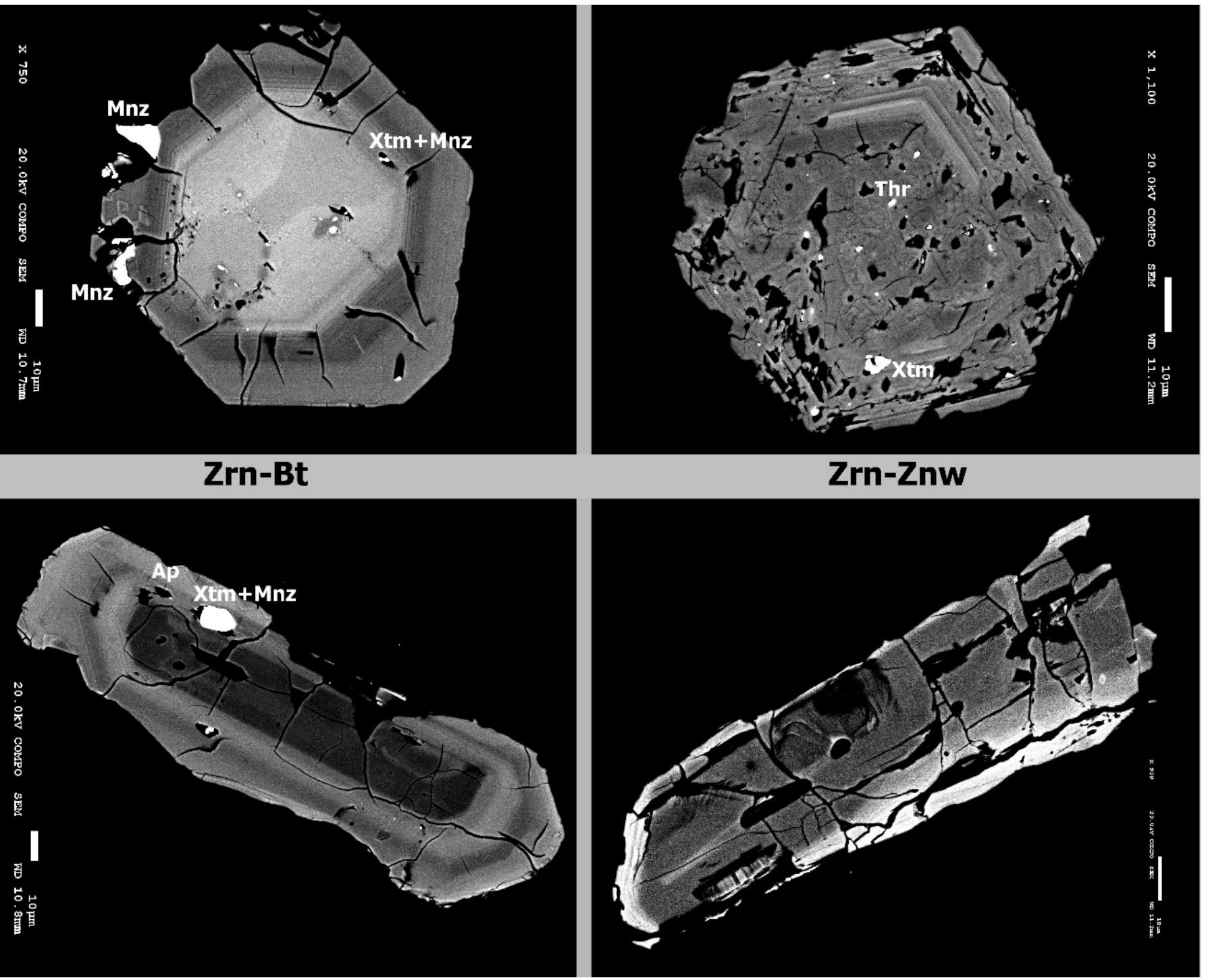 The most typical images showing the differences in the