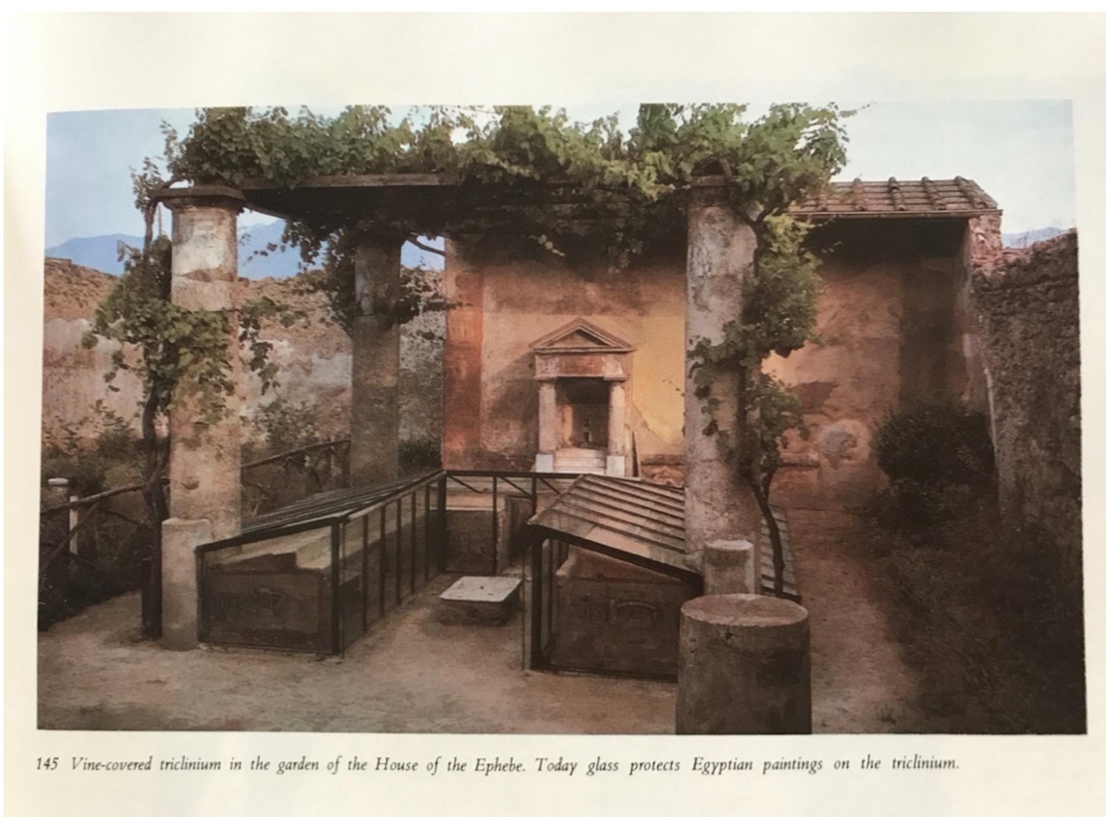 Hortus vine-covered pergola and triclinium in the house of