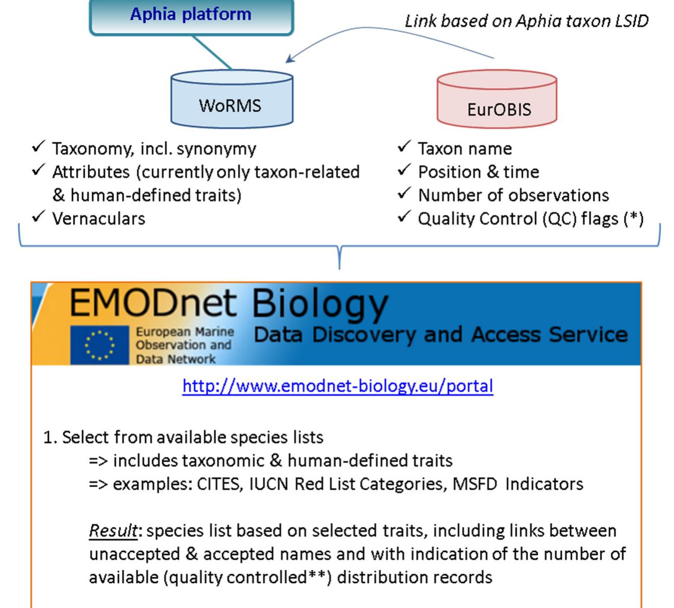 Schematic representation of how worms and eurobis are
