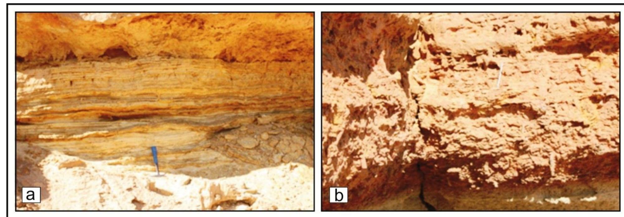 Views showing the laminated-claystone of facies two (sjf2)