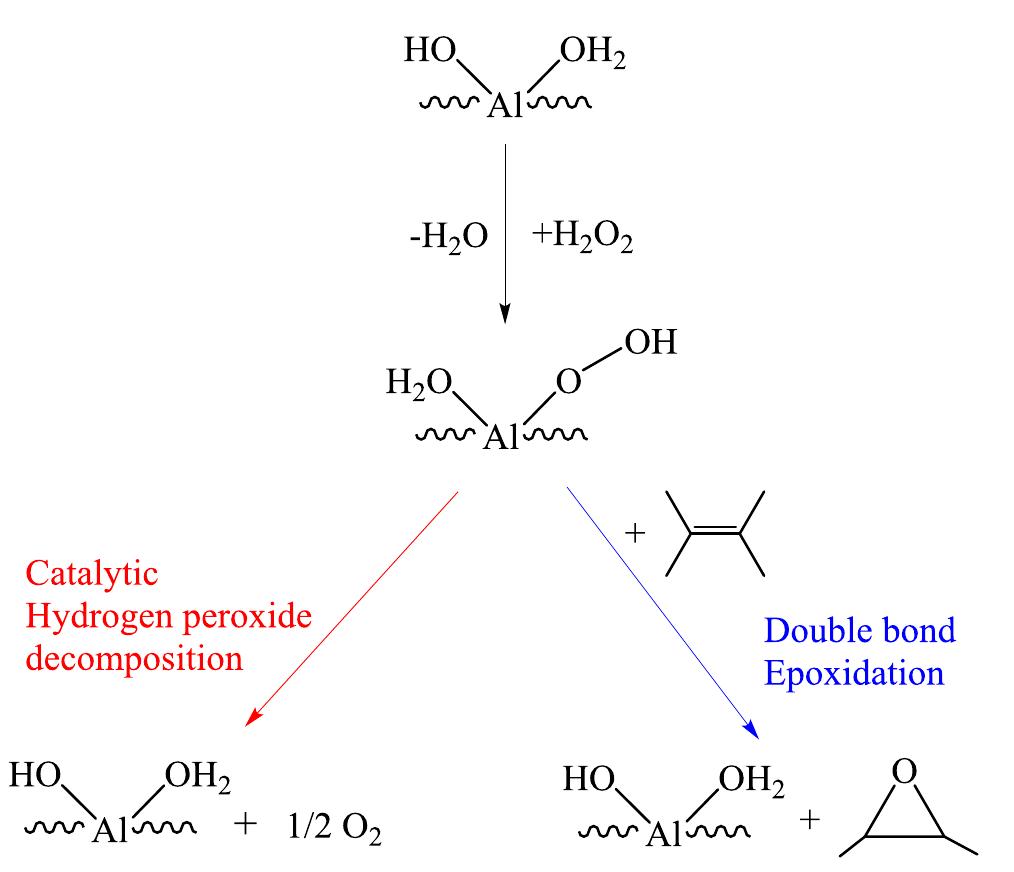Simplified reaction scheme of the catalytic epoxidation and