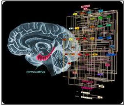 Human brain mapping when technology be able to fully map the