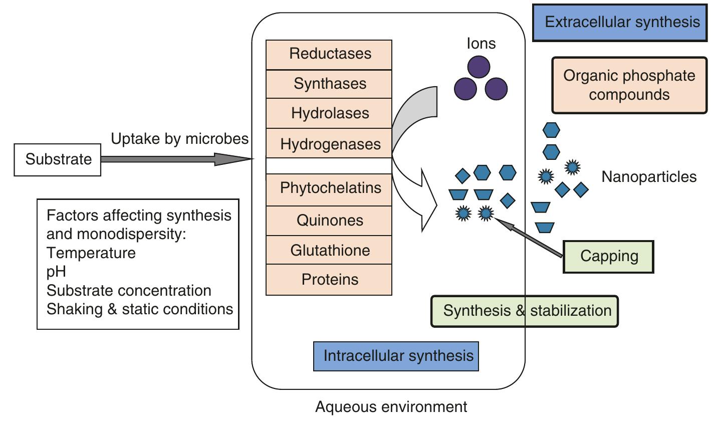 1 generalized mechanism of synthesis of nanoparticles by