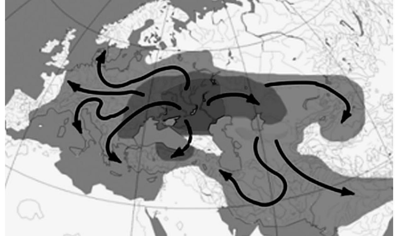 Map 2: dispersal of indo-european languages c. 4000 to 1000